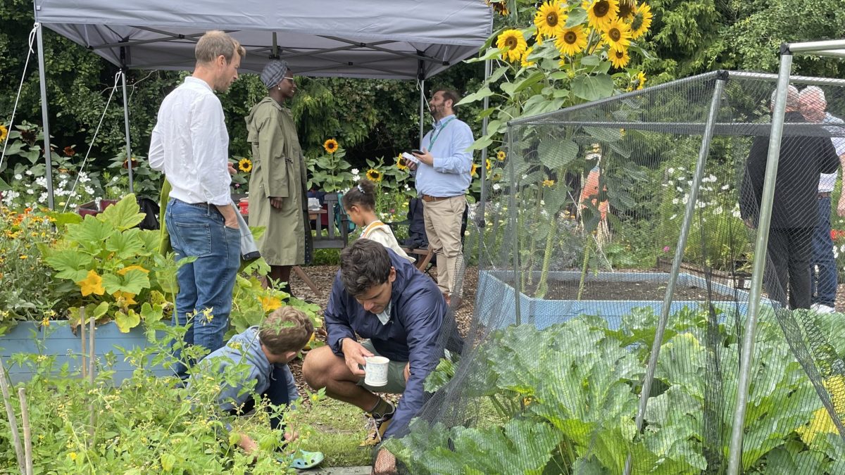 Greening our Communities | Norfolk Community Foundation