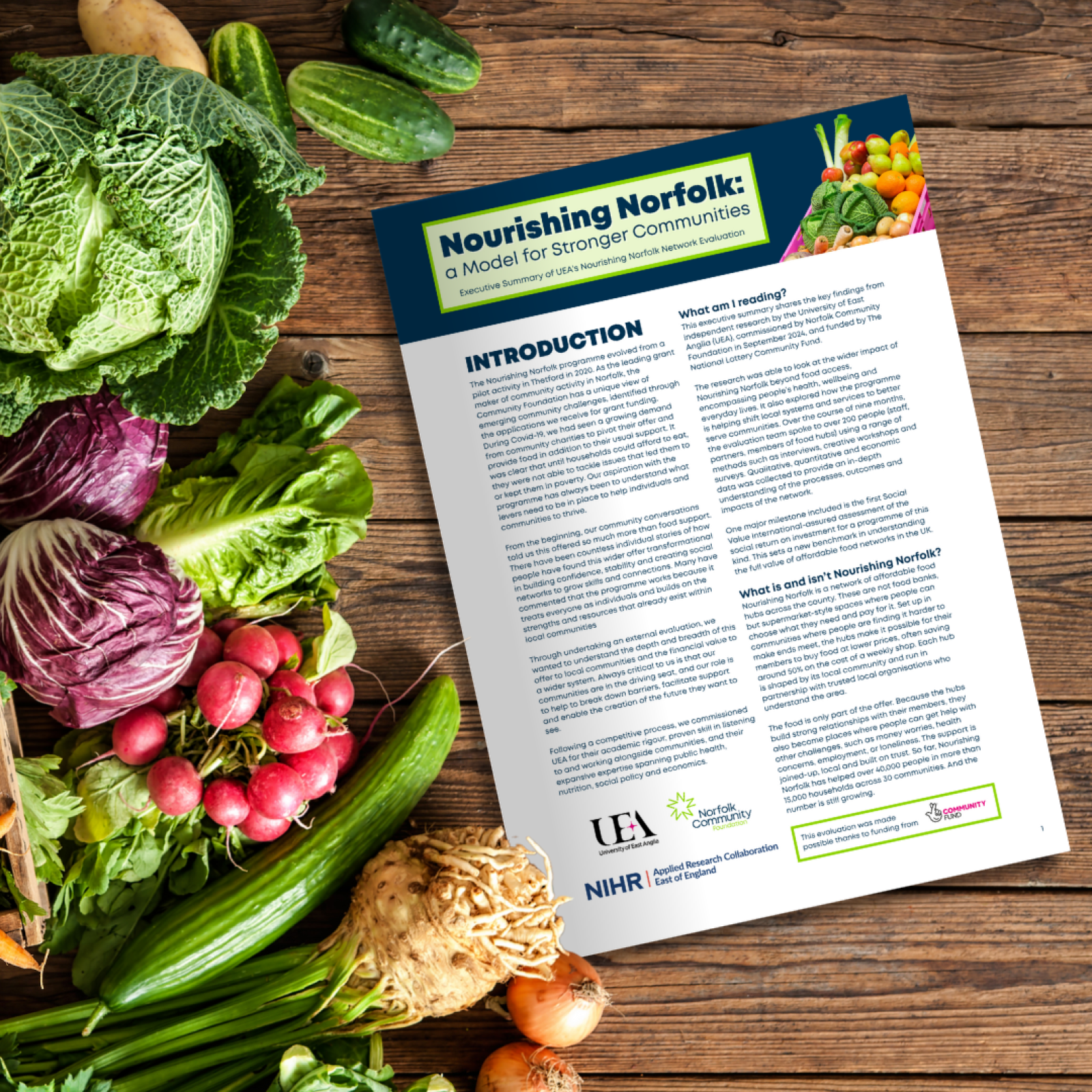 Nourishing Norfolk Provides National Blueprint | Norfolk Community ...